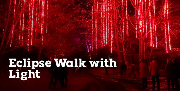 Eclipse Walk With Light – The Muskoka Store