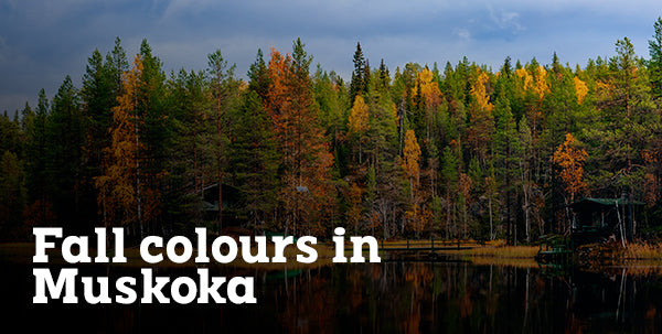 Fall Colours in Muskoka – The Muskoka Store